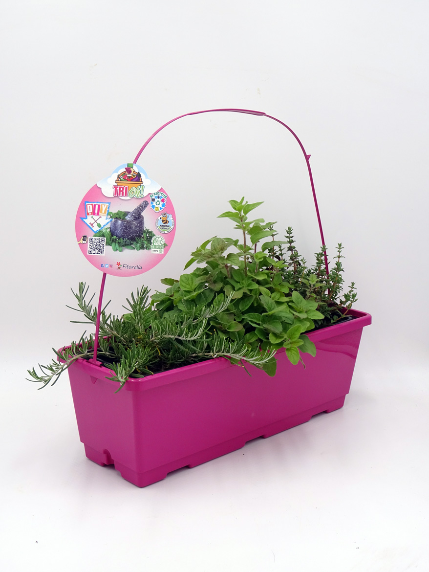 Trioh! + AirGarden! + Miam! – Fitoralia